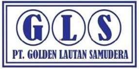 ERP GLS